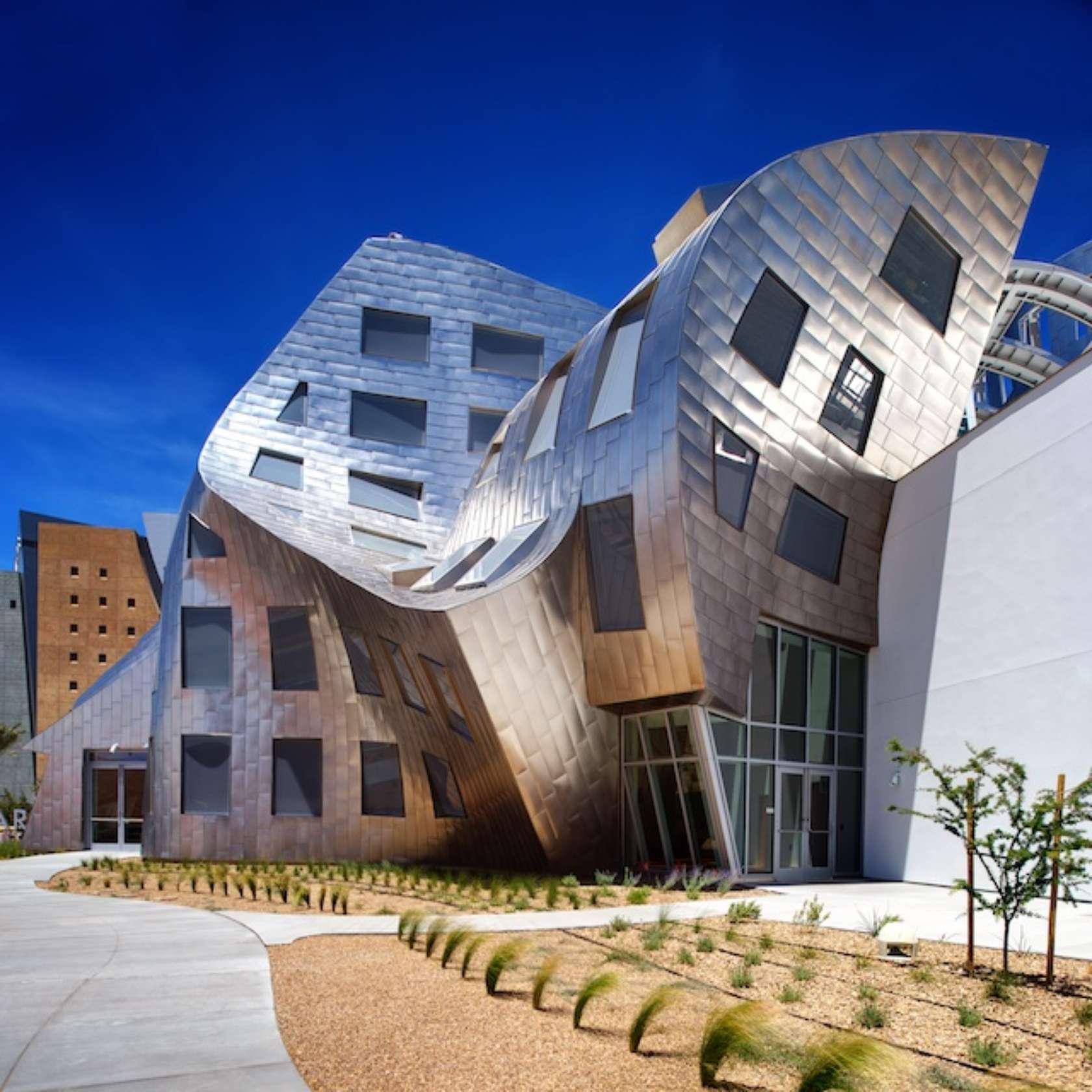 Lou Ruvo Center for Brain Health - Architizer