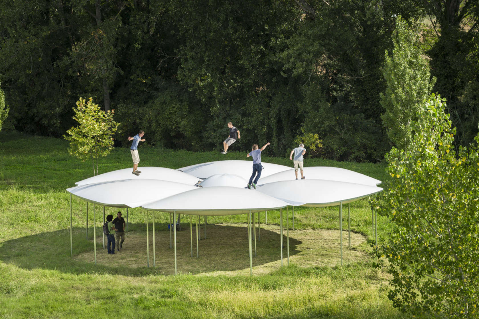 Floral Pavilion Discount Code at Arthur Dwyer blog