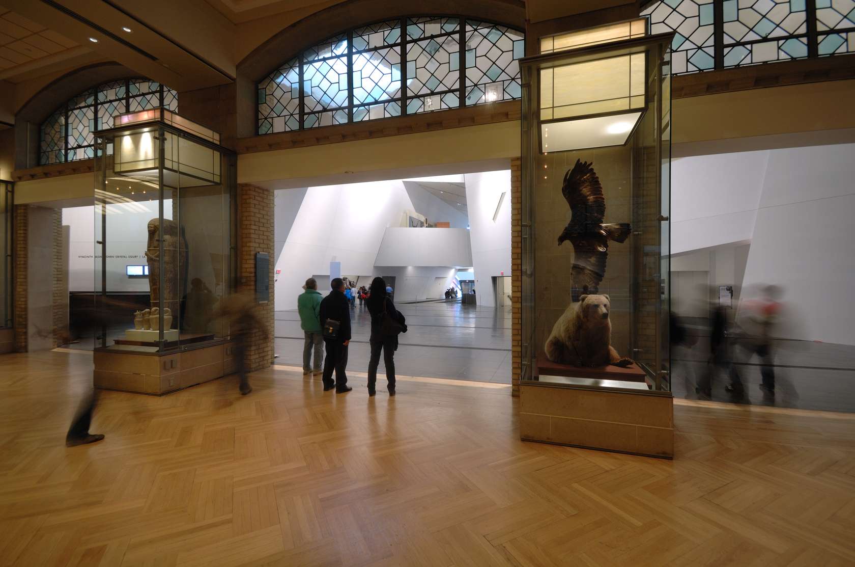 Royal Ontario Museum - Architizer